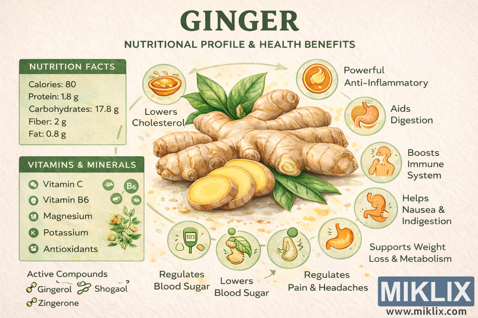 Image: Ginger Nutritional Profile & Health Benefits Infographic - Miklix
