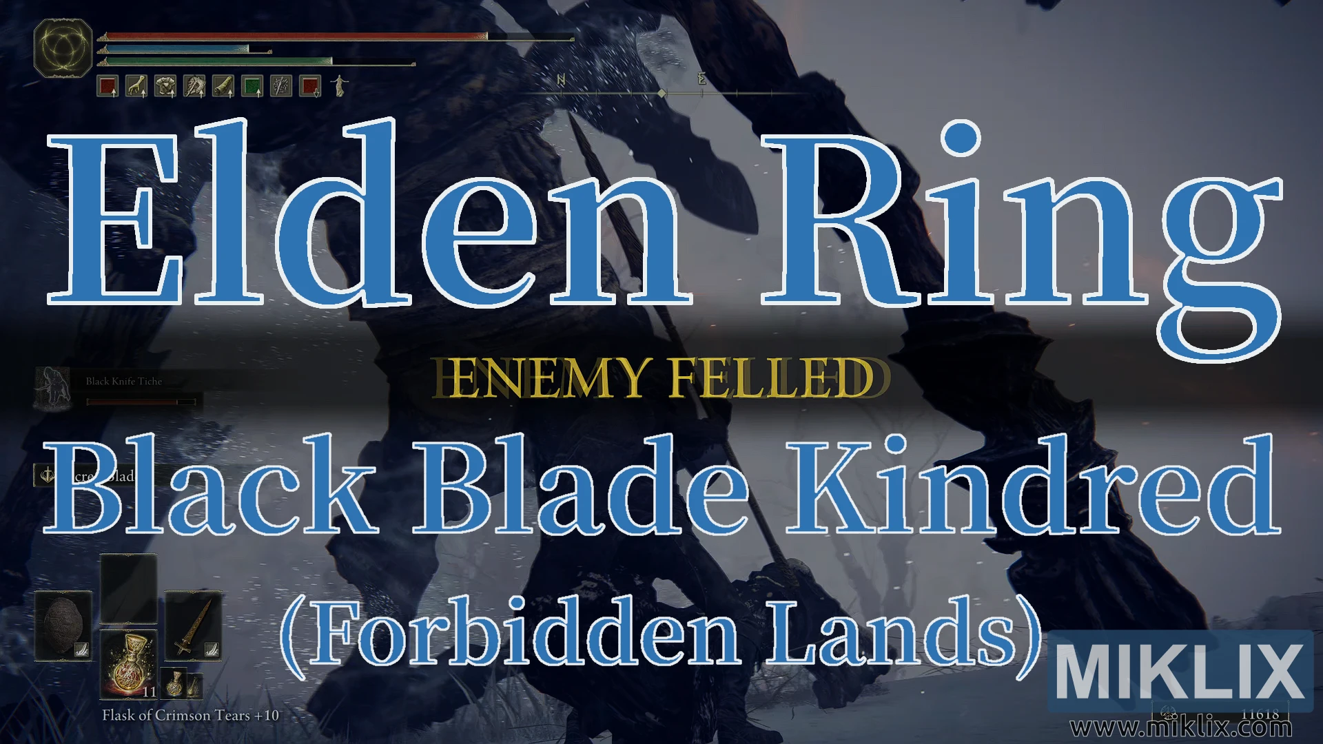 Elden Ring: Fiel de la Hoja Negra (Tierras Prohibidas) – Combate contra ...