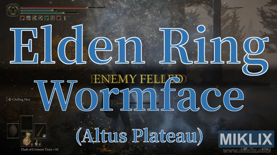 Image: Elden Ring Wormface Victory - Miklix